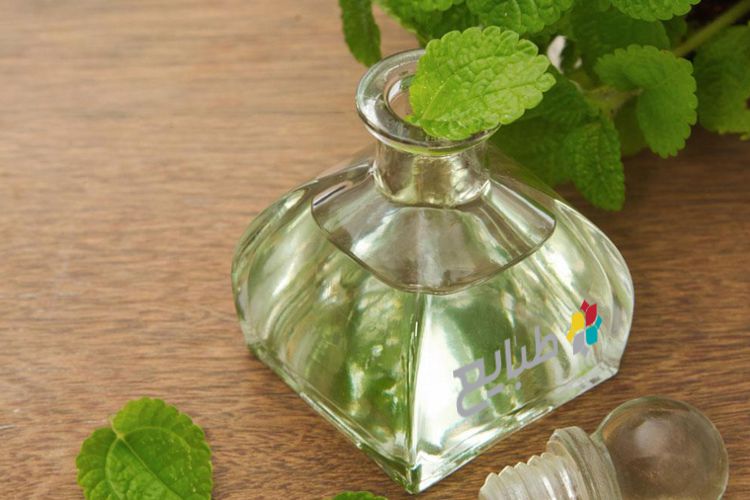 خواص 25 عرق معروف در طب سنتی ( نعنا، اسطوخودوس، بیدمشک، بید و زیره ...